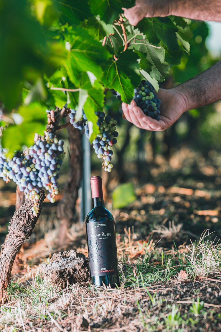 Monti Rossi Etna Wines - Winery in Sicily | Winetourism.com