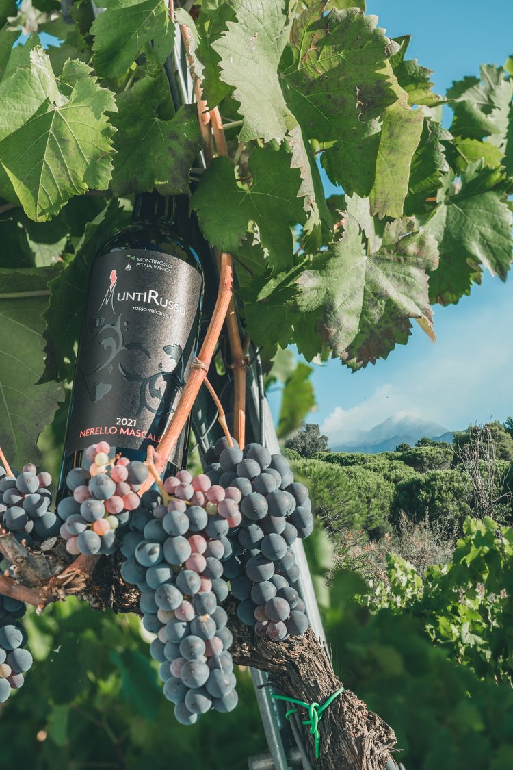 Monti Rossi Etna Wines - Tasting discovery on Vineyard at Monti Rossi ...