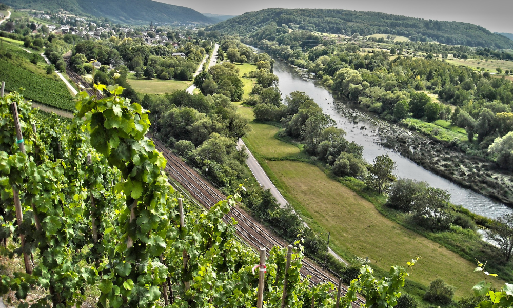 Saar Wine Region 2026: Germany's Elegant Riesling Haven | WineTourism.com