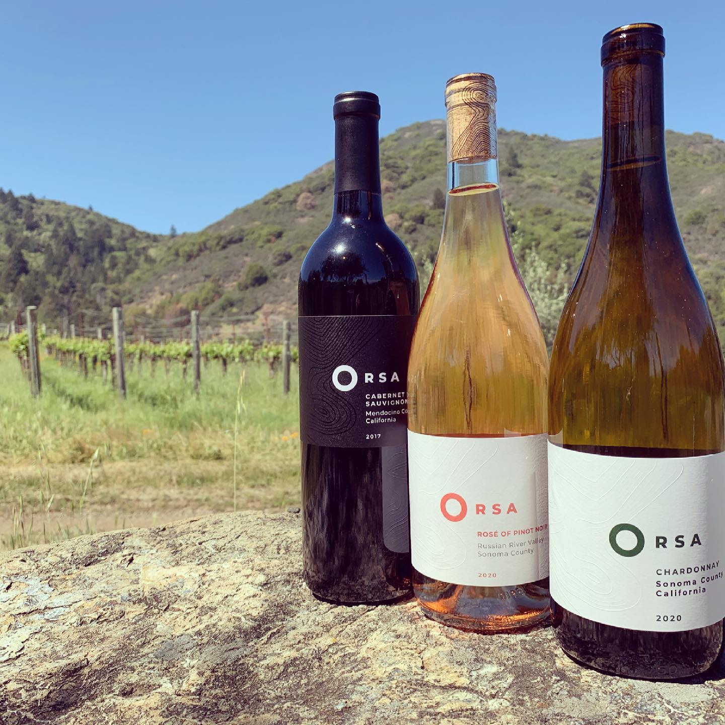 Alta Orsa Winery - Winery in California | Winetourism.com