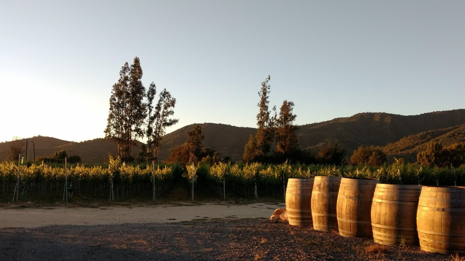 Attilio & Mochi - Wine Tasting with Winery Owner | Winetourism.com