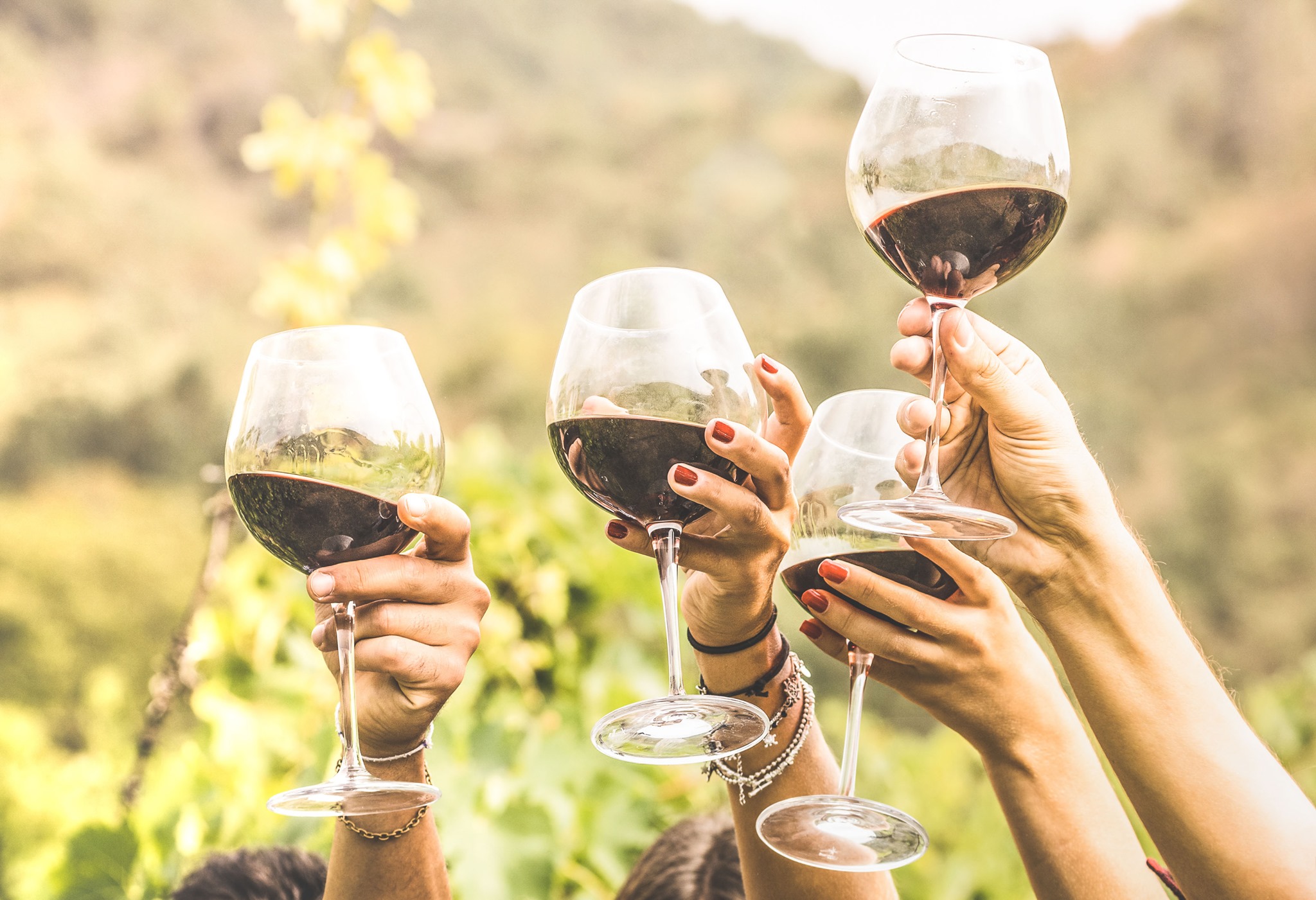 Chateau Nakad - Winery in Bekaa Valley | Winetourism.com