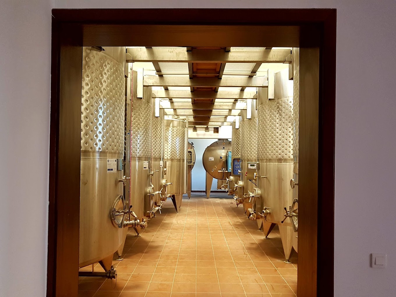Davino - Winery in Muntenia| Winetourism.com