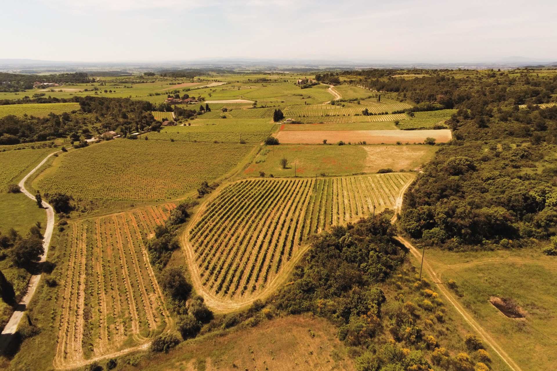 Domaine de Pech Ménel - Wine Tasting & Tour | Winetourism.com