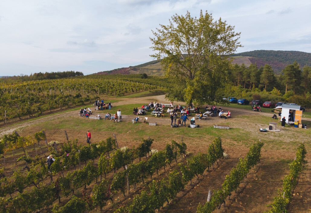 Eger Wine Region, Hungary | Winetourism | Winetourism.com