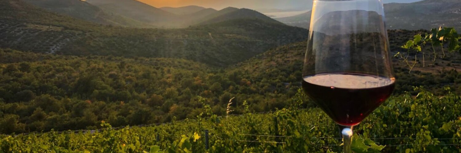 Matošin Winery - Winery in Dalmatia | Winetourism.com