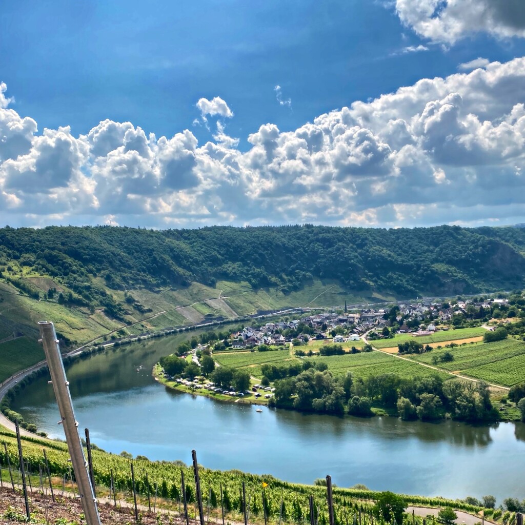 Grape Escapes Mosel Wine Region - Guided Wine Tour in Mosel ...