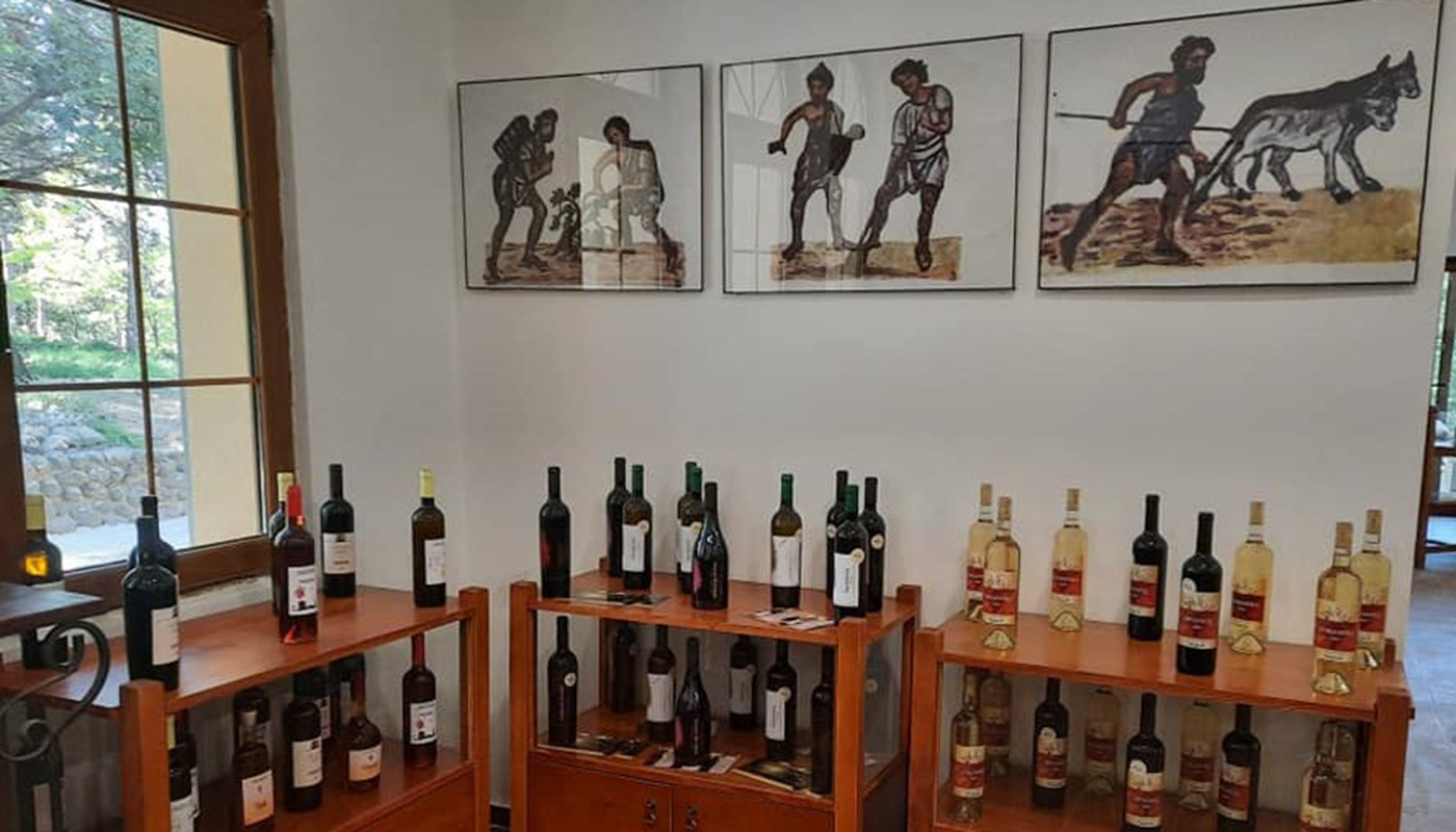 Private Tour to Tikvesh Wine Region with Winetasting - Guided Wine Tour ...