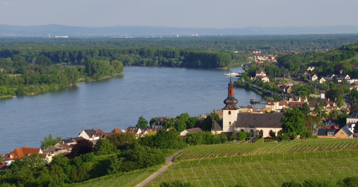 2026 Nierstein Wineries: Taste German Wines | WineTourism.com
