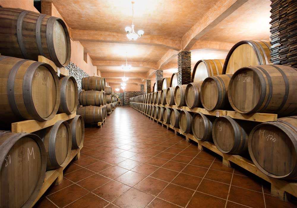 PIK Oplenac - Wine Tasting & Tour | Winetourism.com