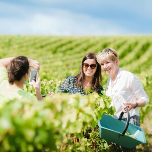 Raphael - Local wine Guide in Champagne | WineTourism.com