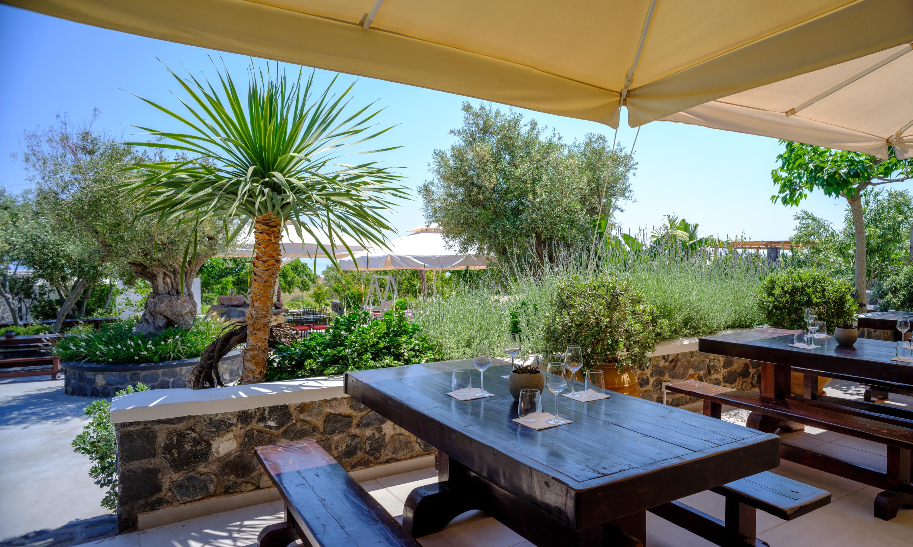 "Artemis Karamolegos Winery - Winery in Aegean Islands | Winetourism.com"