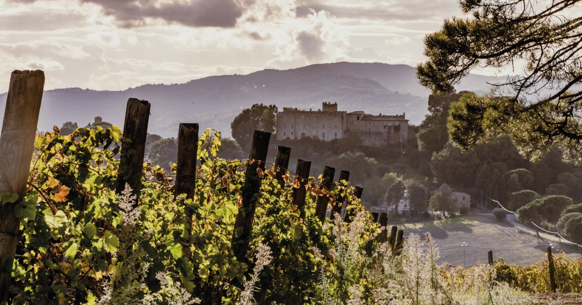 Tenute Aliani - Tasting with a visit to the Castle of Ramazzano in ...