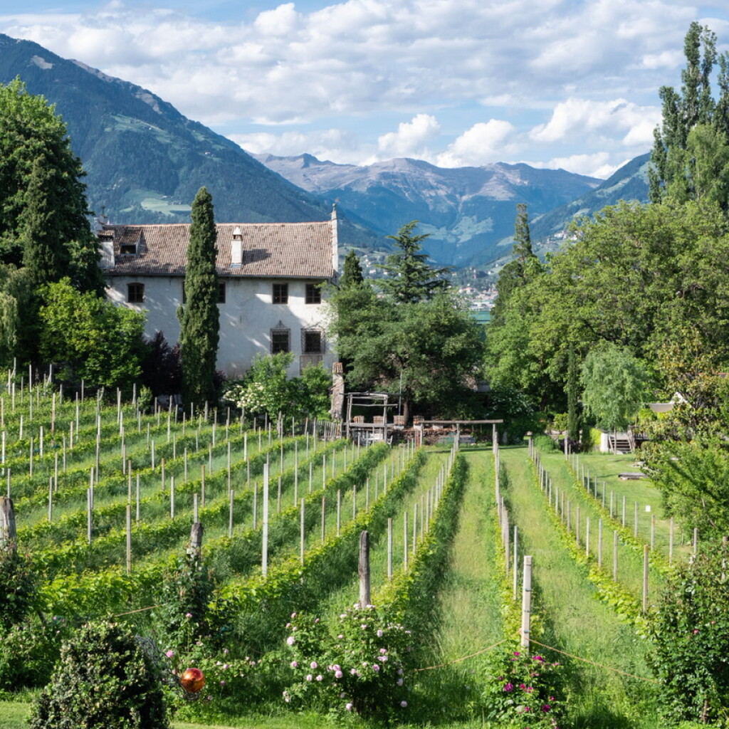 Kränzelhof - Winery in Trentino-Alto Adige | Winetourism.com