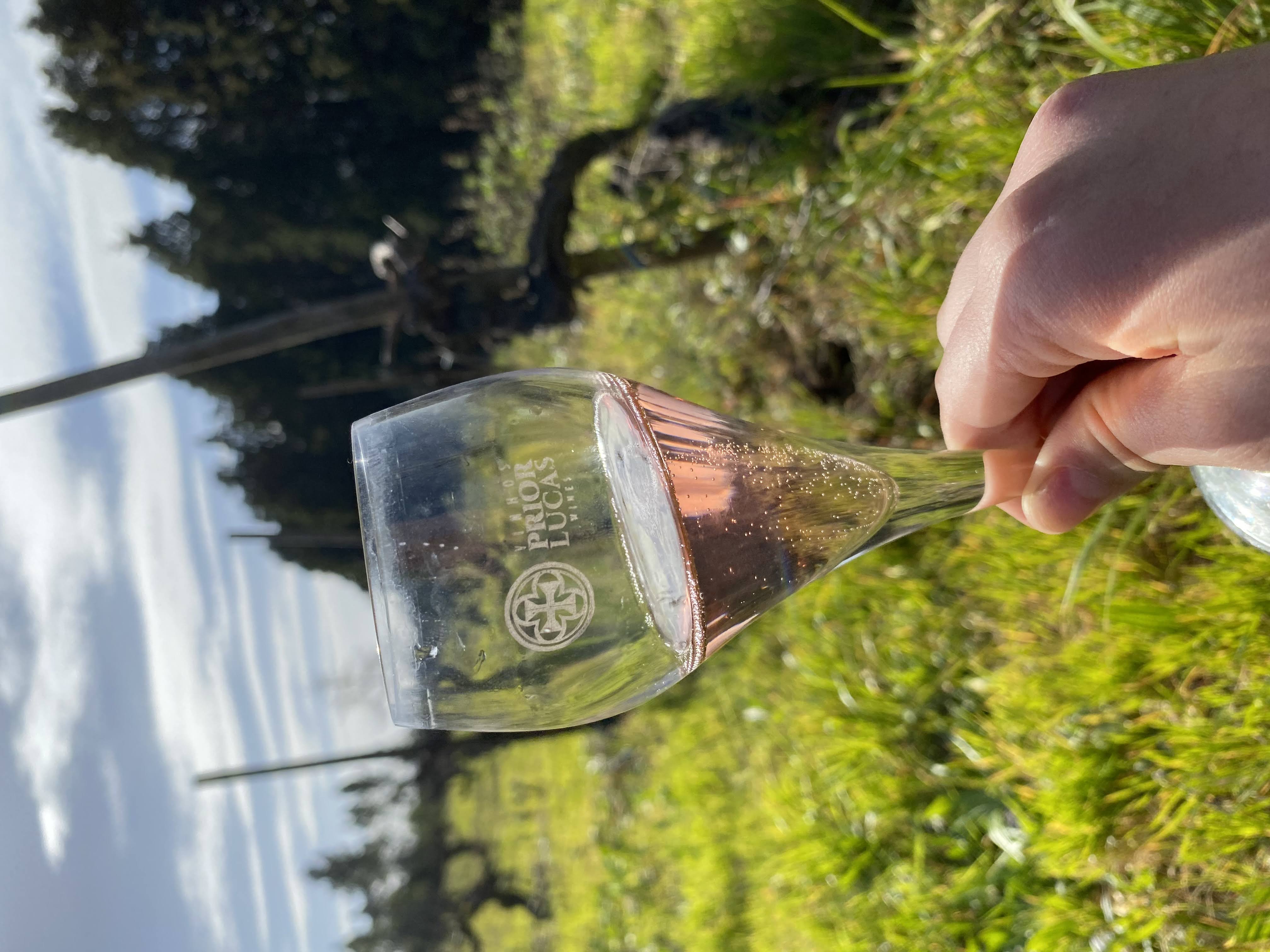 Prior Lucas Wines - Wine Experience & Telling Stories in Bairrada ...