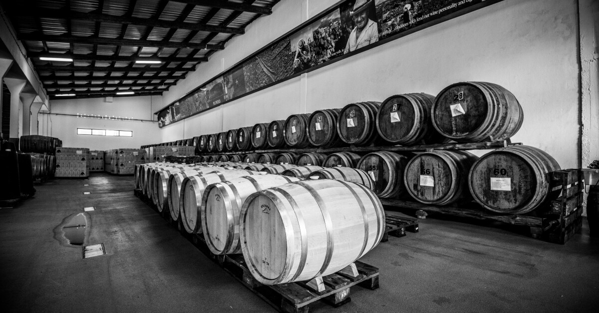 Pico Island Wine Cooperative - Picowines - Vignoble en Azores ...