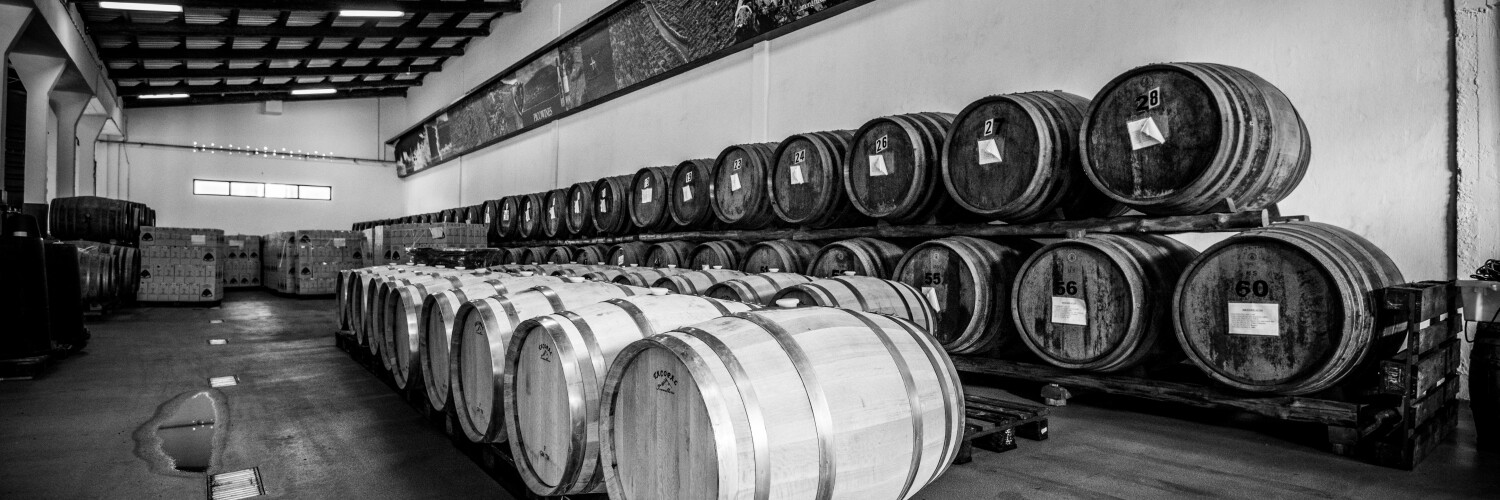 Pico Wines - Winery in Azores | Winetourism.com