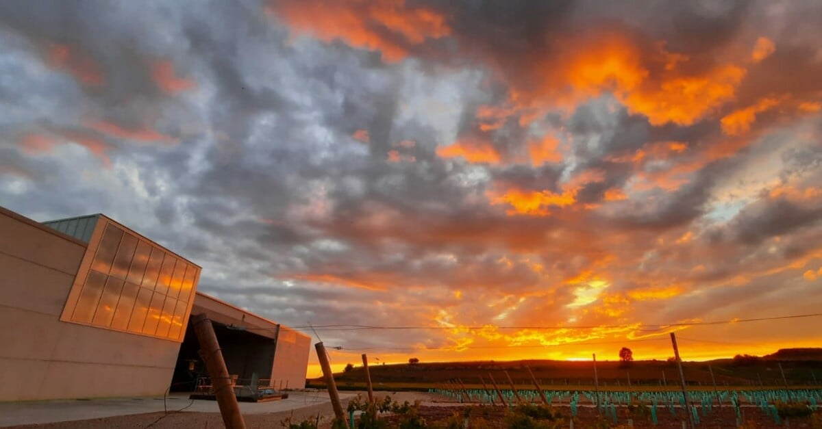 Velvety Wines - Winery in Puglia | Winetourism.com
