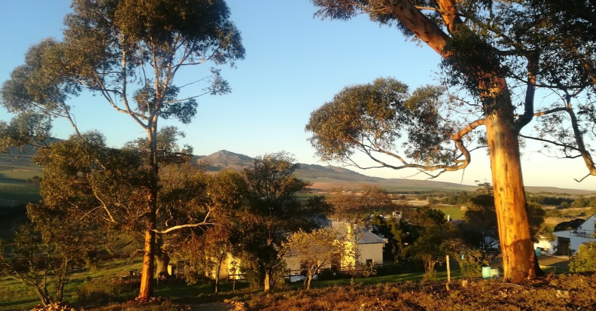 Privates Cap Classique tasting tour & 3 Gänge Menu in Botrivier ...