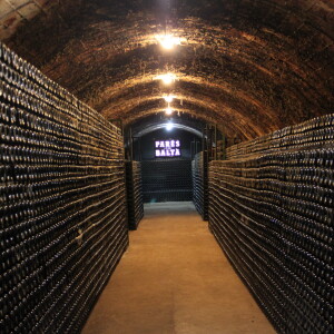 Parés Baltà - Winery in Catalonia | Winetourism.com