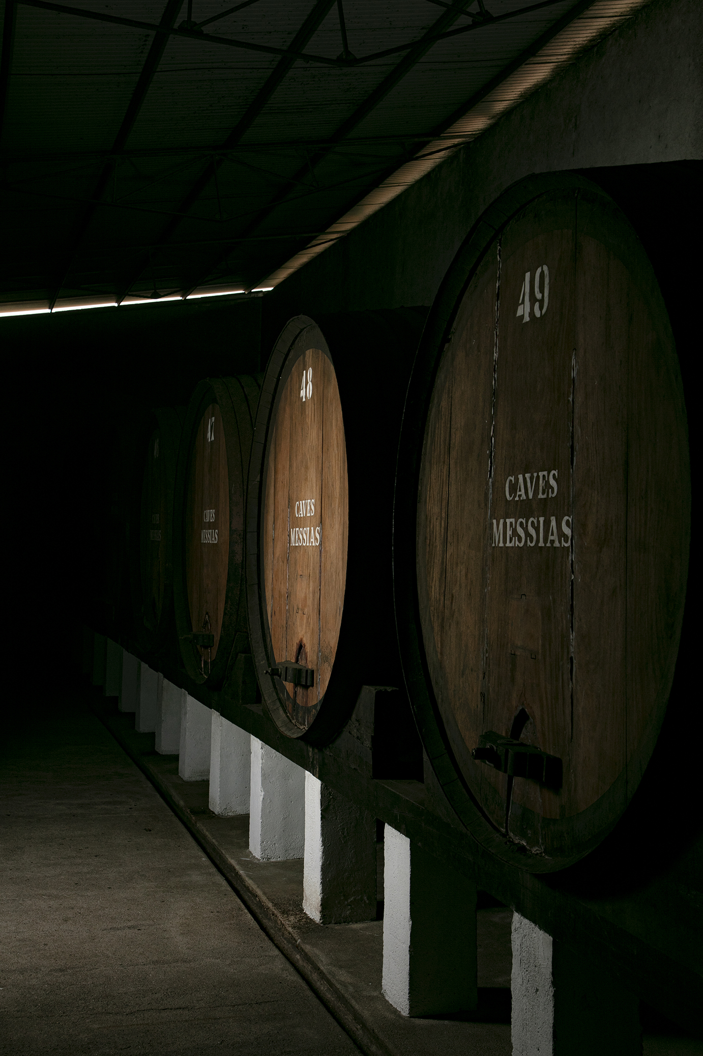 Messias - Messias - Premium Tasting in Bairrada | Winetourism.com