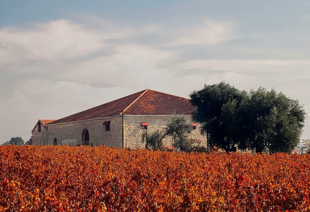Your 2023 guide to Bekaa Valley wine region | Winetourism.com