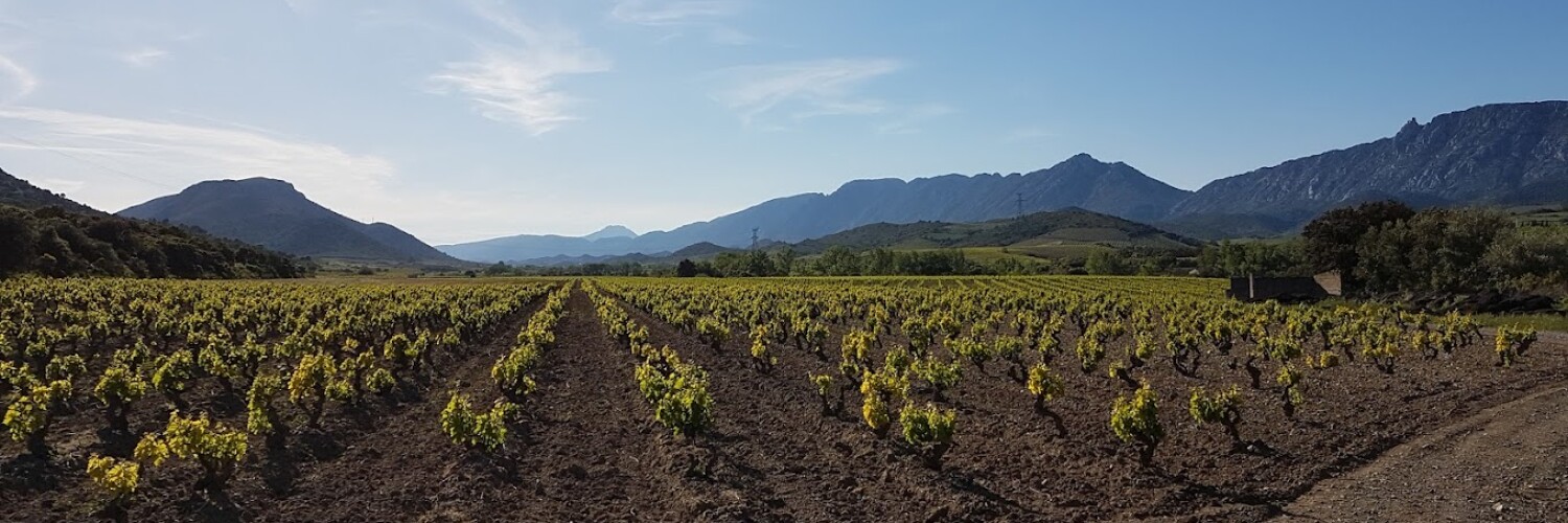Domaine Mas De Lavail - Wine Tasting & Tour | Winetourism.com