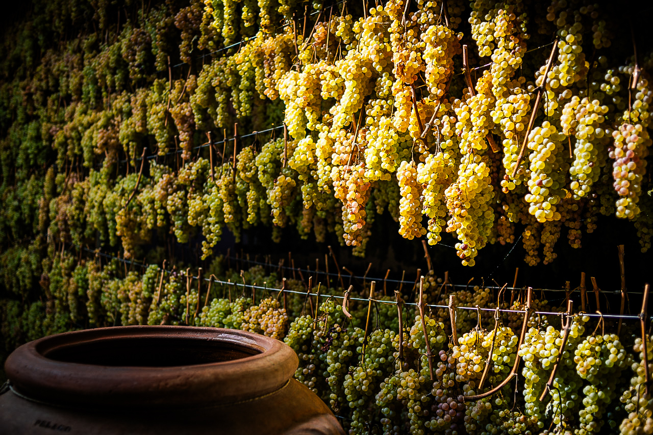 Fattoria Selvapiana - Winery in Tuscany | Winetourism.com