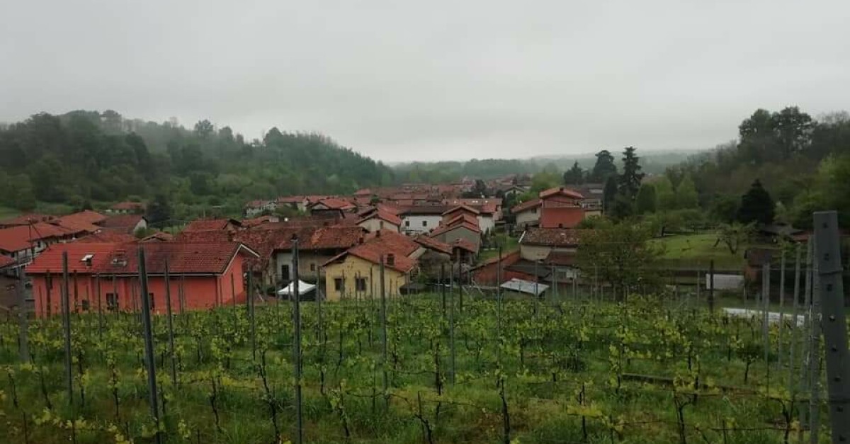 Bonavari - Wine from Le Masche | Winetourism.com
