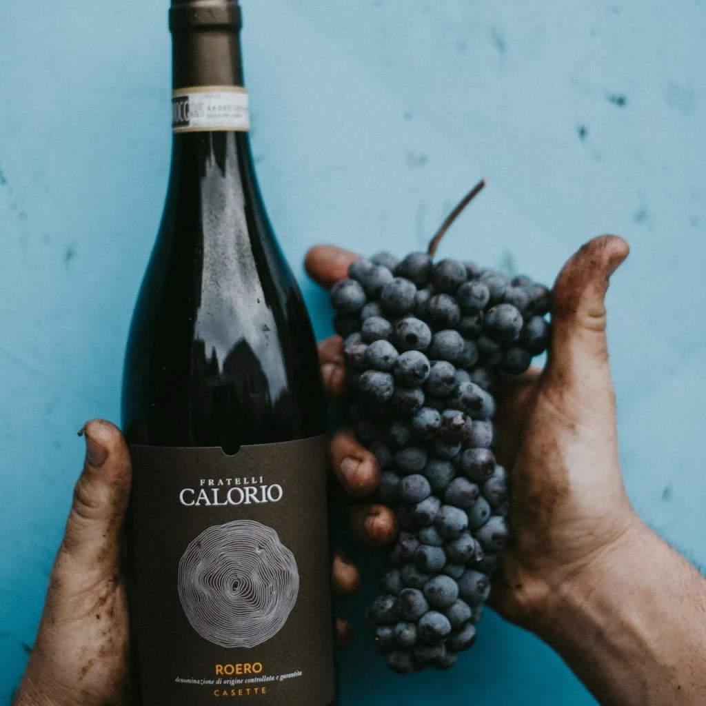 Fratelli Calorio Wine Tasting & Tour in Monferrato | Winetourism.com