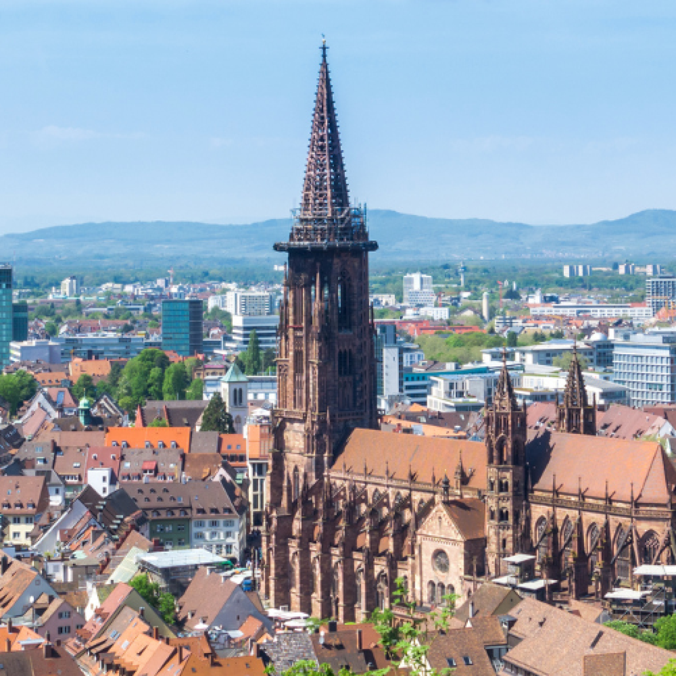 10 best wineries in Germany to visit in 2024 | Winetourism.com