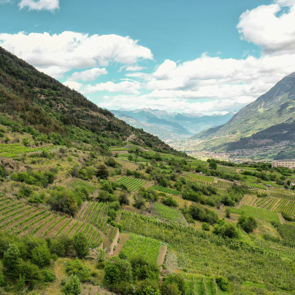 La Source - Winery in Piedmont | Winetourism.com