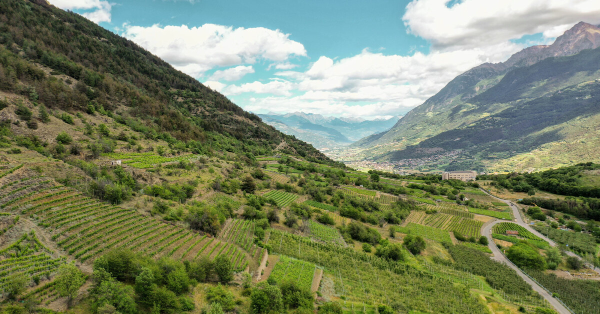 La Source - Winery in Piedmont | Winetourism.com
