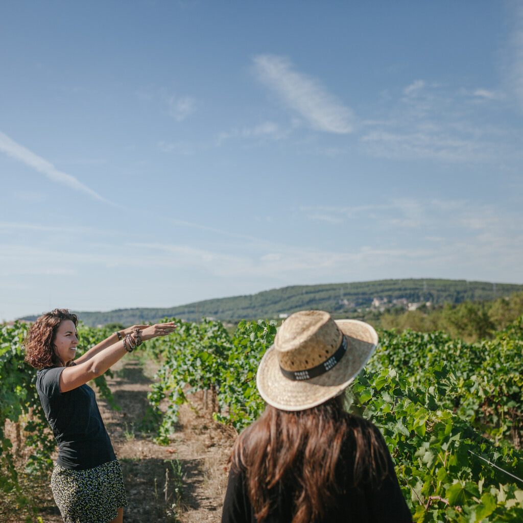 Parés Baltà - Winery in Catalonia | Winetourism.com