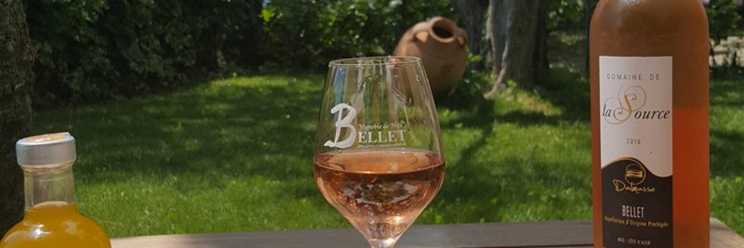 Domaine De La Source - Winery in Provence | Winetourism.com