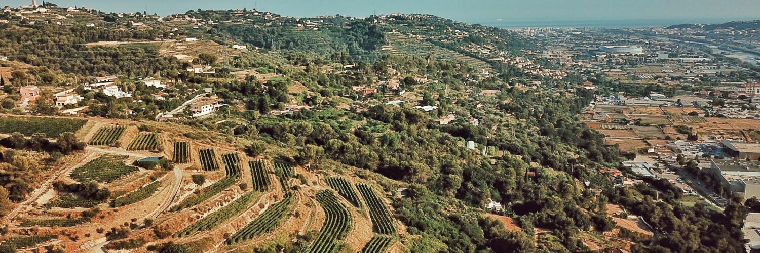 Domaine De La Source - Winery in Provence | Winetourism.com