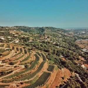 Domaine De La Source - Winery in Provence | Winetourism.com
