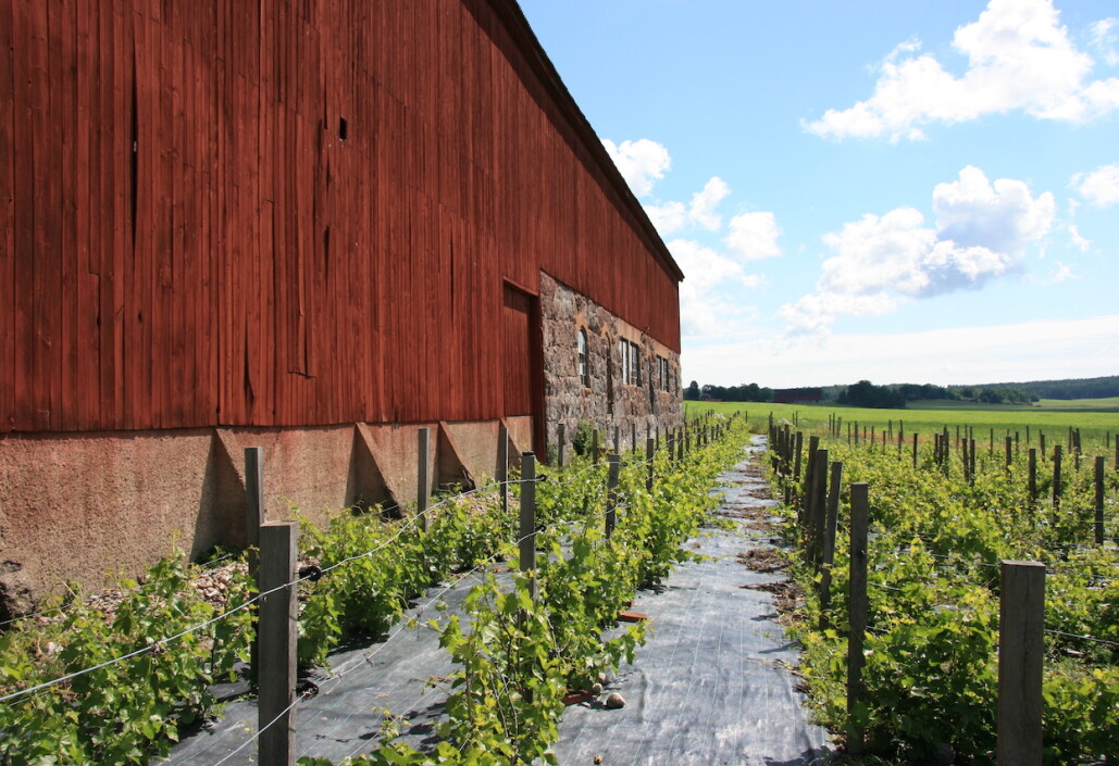 10 best wineries in Sweden to visit in 2023 | Winetourism.com