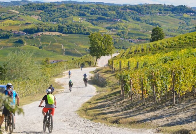 10 best wine tours & tastings in Barolo Wine Region 2023 | Winetourism.com