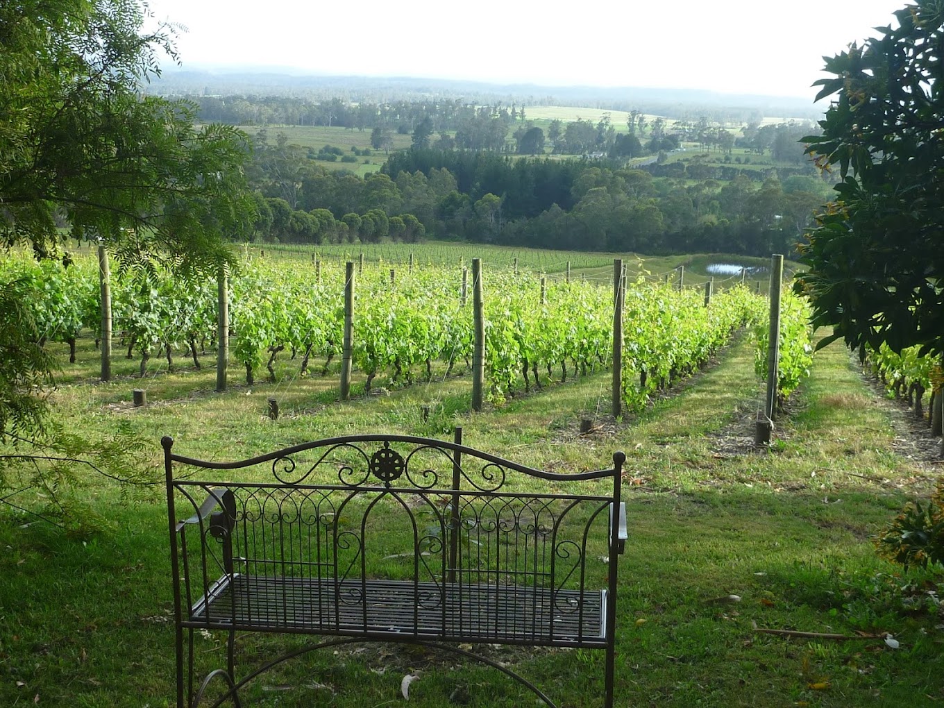 Grey Sands Vineyard - Winery in Tasmania | Winetourism.com