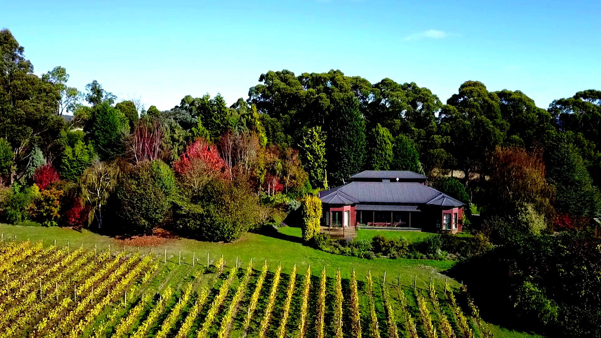 Grey Sands Vineyard - Wine Tasting & Tour in Tasmania | Winetourism.com