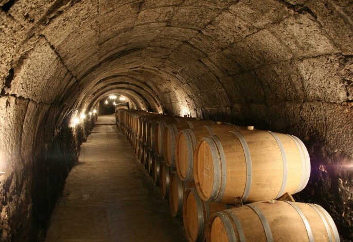 10 best wineries in Ribera del Duero to visit in 2023 | Winetourism.com