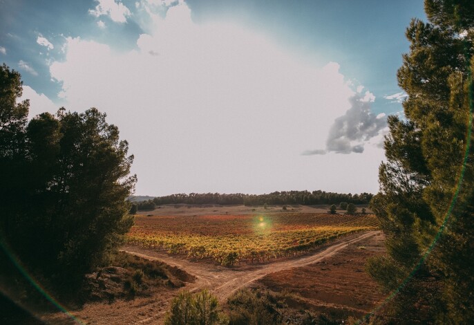 Utiel-Requena - Wine Region in Valencia, Spain | Winetourism.com