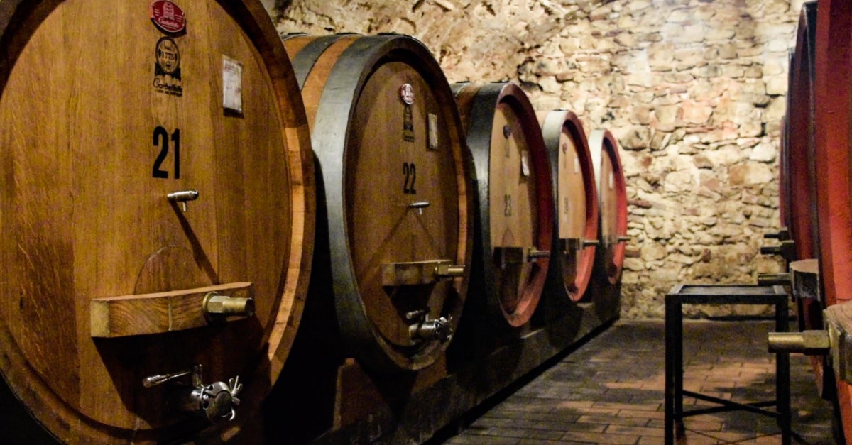 Wine Tasting & Tour at Wineyards | Valpolicella DOC Wines | Winetourism.com