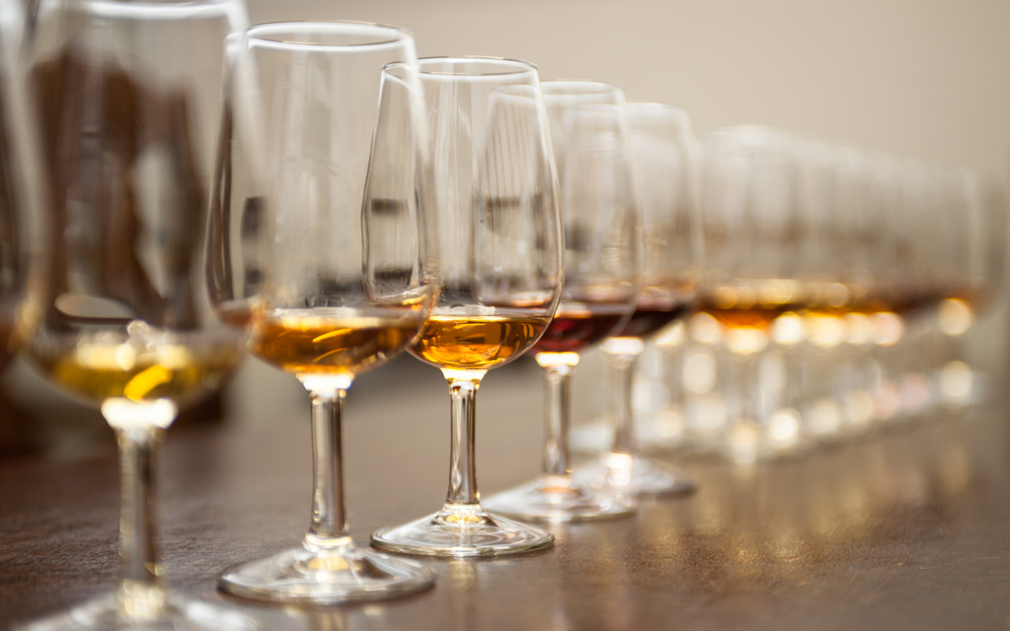 Full Day Madeira Wine Tour - Vineyards and Cellars - Guided Wine Tour ...