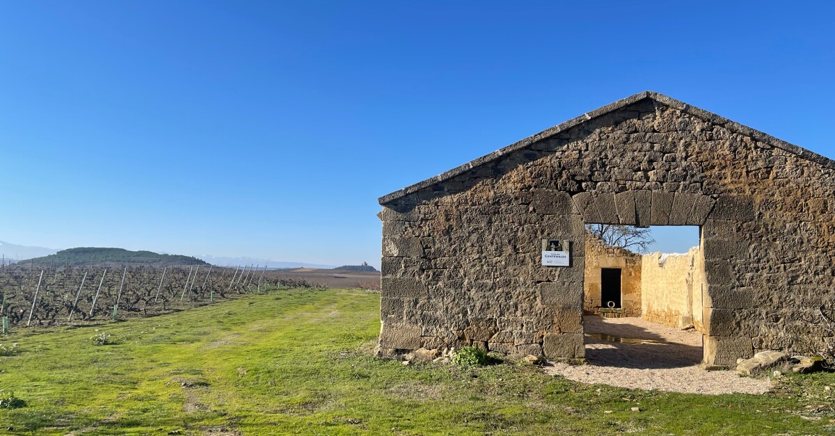 Viura - Wine from Eduardo Garrido Garcia | WineTourism.com