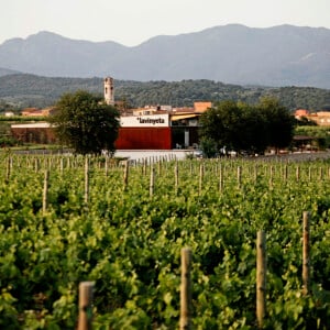 Lavinyeta - Winery in Catalunya | Winetourism.com
