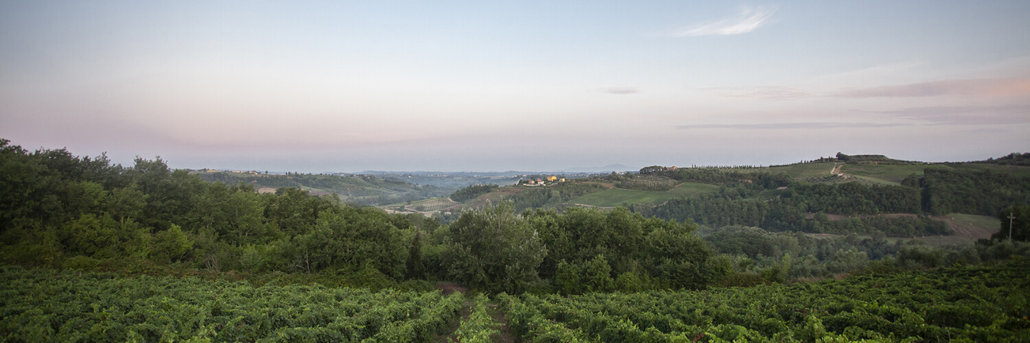 Tenuta Moriano - Winery in Tuscany | Winetourism.com