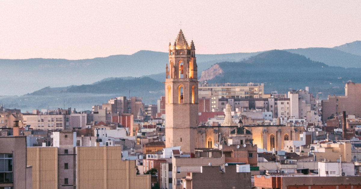 2026 Reus Wine Guide: Viu el Vi & Local Wineries | WineTourism.com