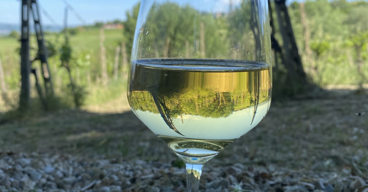 Wine Tasting & Tour at Colonna Winery in Umbria | Winetourism.com